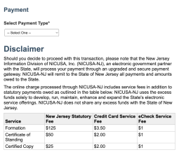 How to Form an LLC in New Jersey – eForms